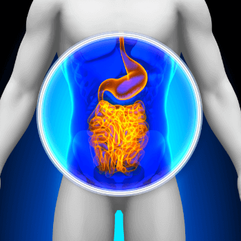 Digestion, mood, gut health - Dr Susan Jamieson